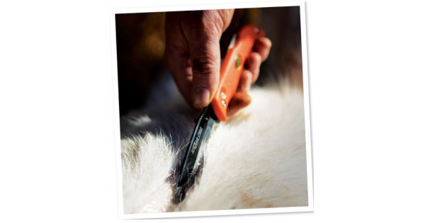 Couteau Outdoor Edge Razor-Pro